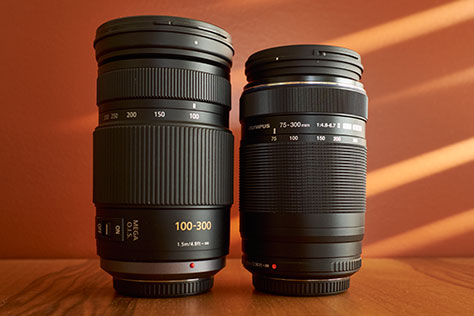 Panasonic 100–300 oder Olympus 75–300 – Grafik und Gestaltung